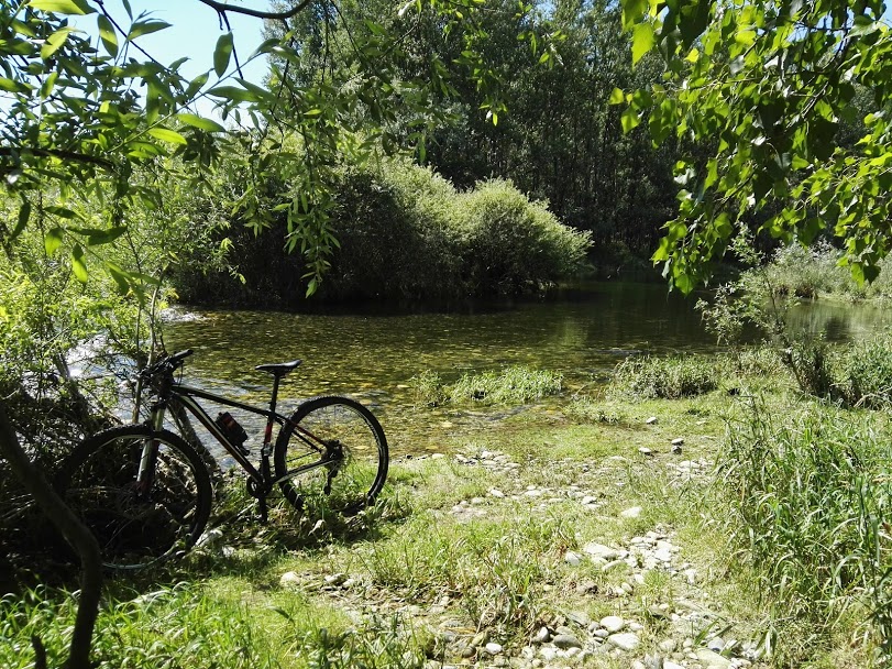 NATURE LIFE COACHING