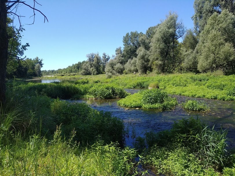 NATURE LIFE COACHING